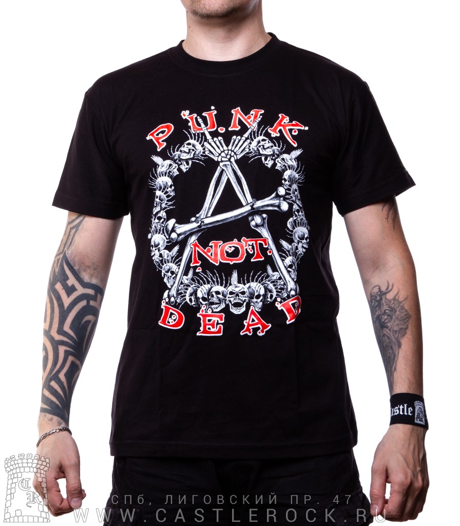 Футболка Anarchy Анархия Punk Not Dead (кости и черепа) — Футболки ...