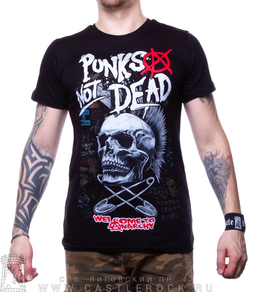 Футболка Punks Not Dead "Welcome To Anarchy" (череп панка) — Футболки ...